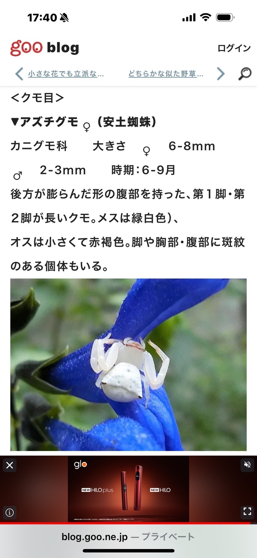 人生初！！: Cuunのお友達